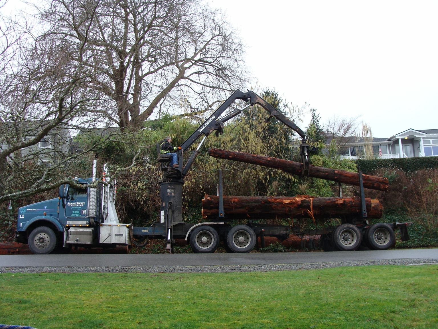 Tree Service | Tree Removal | Tree Cutting | Lakewood WA