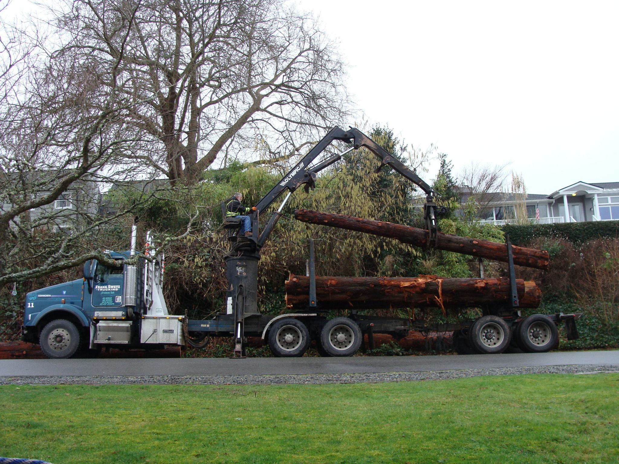 Tree Service | Tree Removal | Tree Cutting | Lakewood WA