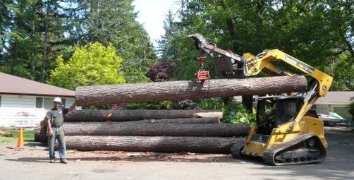 log_lifter | Ranger Tree Experts